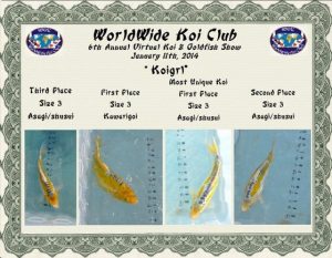 Home - The Elusive Ki Shusui